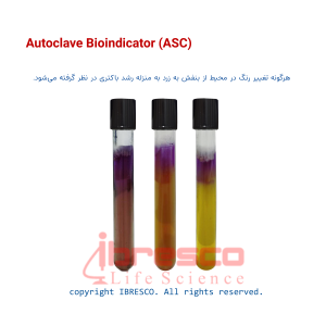 Autoclave Bioindicator (ASC) | ایبرسکو