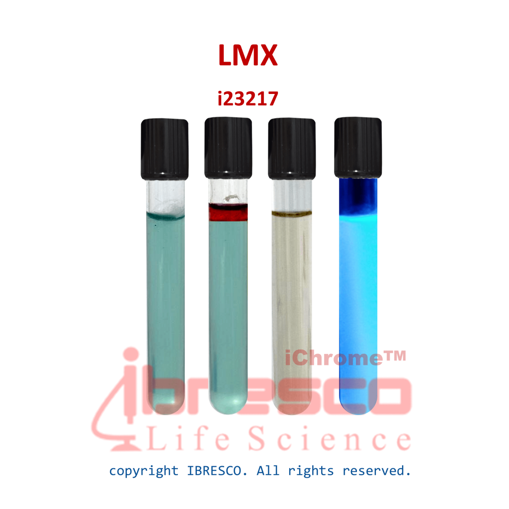 LMX Broth, modified | ال ام ایکس براث مدیفاید | ibresco