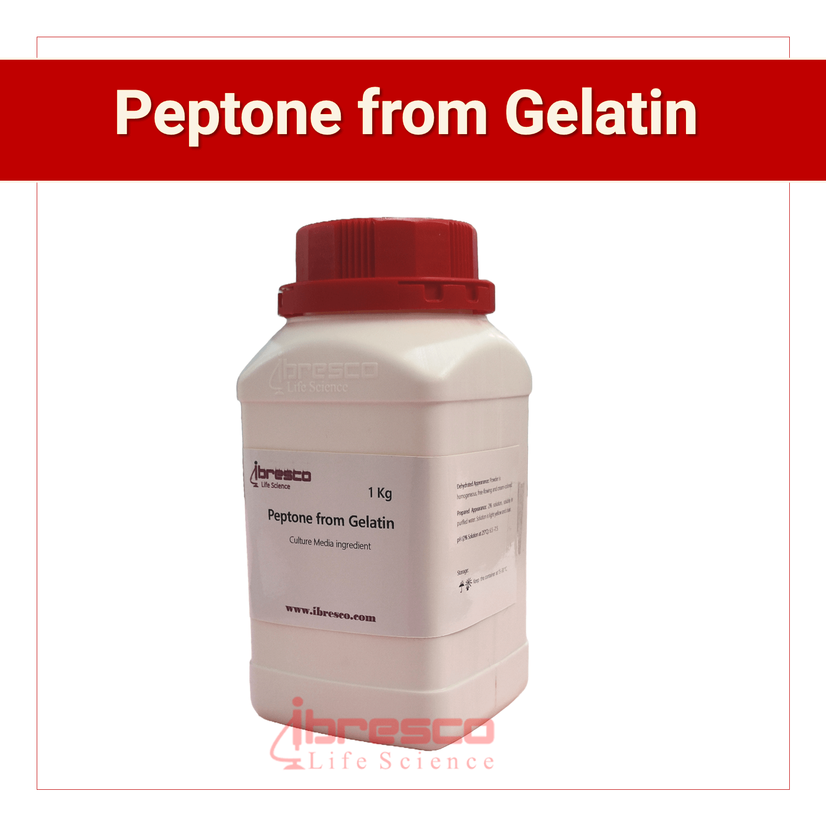 Peptone from Gelatin | پپتون ژلاتین (هضم شده با پانکراتین) | ایبرسکو