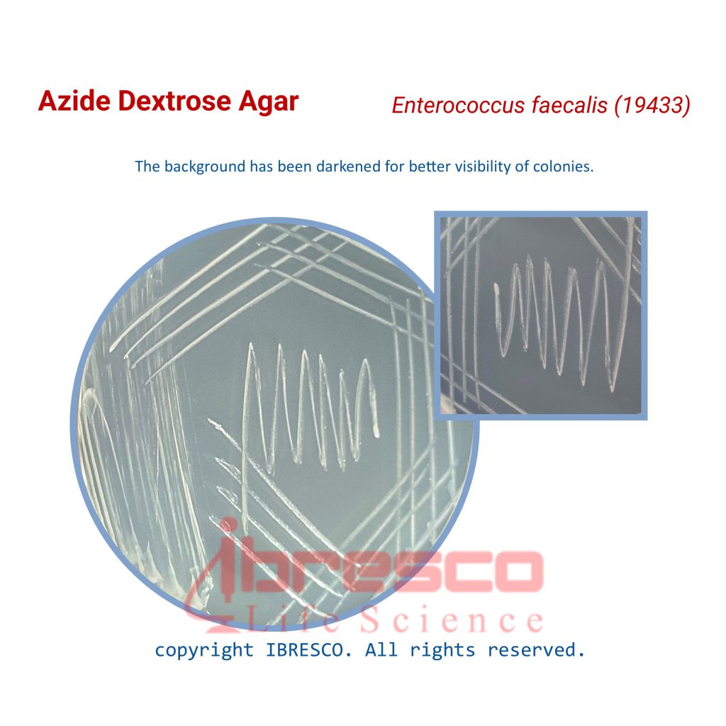 Azide Dextrose Agar | ibresco
