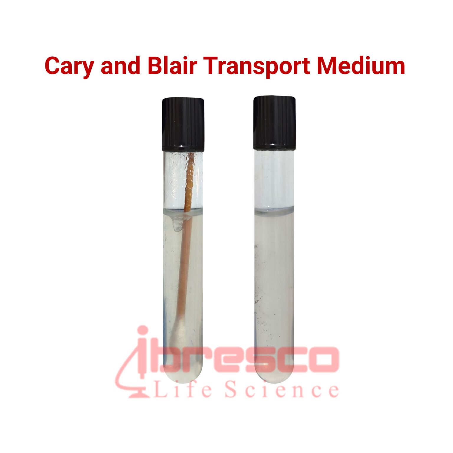 Cary and Blair Transport Medium | محیط انتقالی کری و بلیر | ایبرسکو