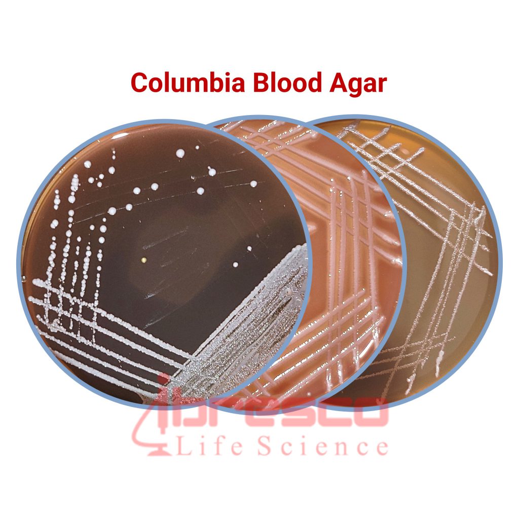 Columbia Blood Agar Base | ibresco