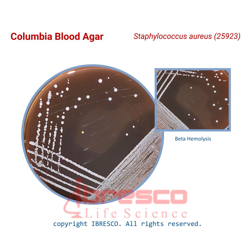 Columbia Blood Agar Base | ibresco