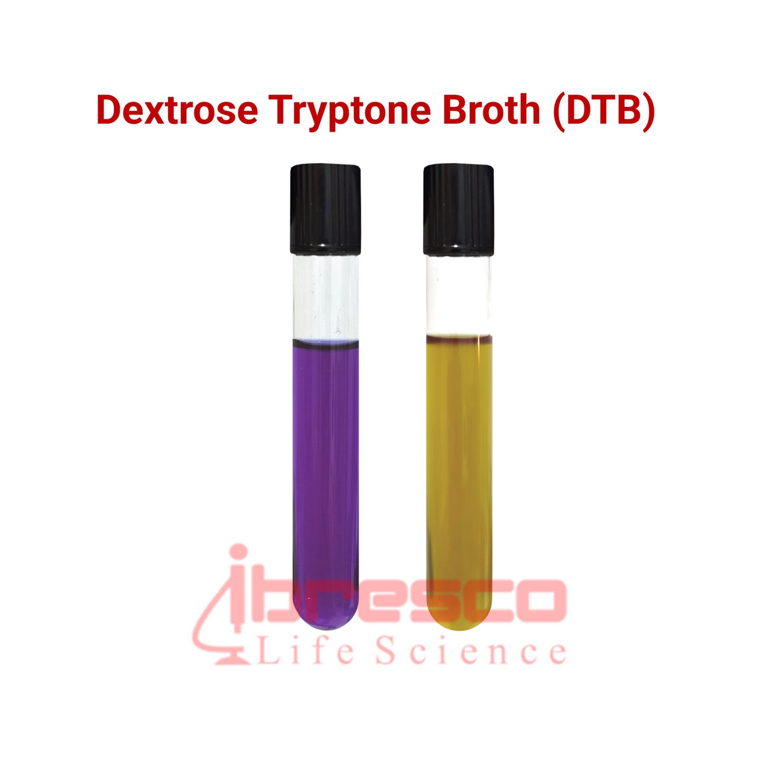 Dextrose Tryptone Broth, DTB | دکستروز تریپتون براث | ایبرسکو