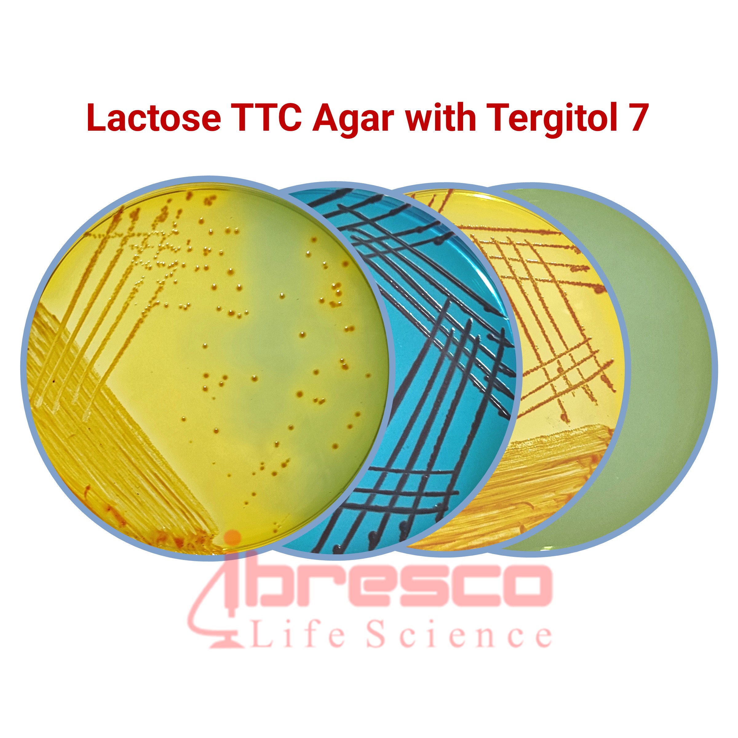 Lactose TTC Agar with Tergitol-7 | ibresco