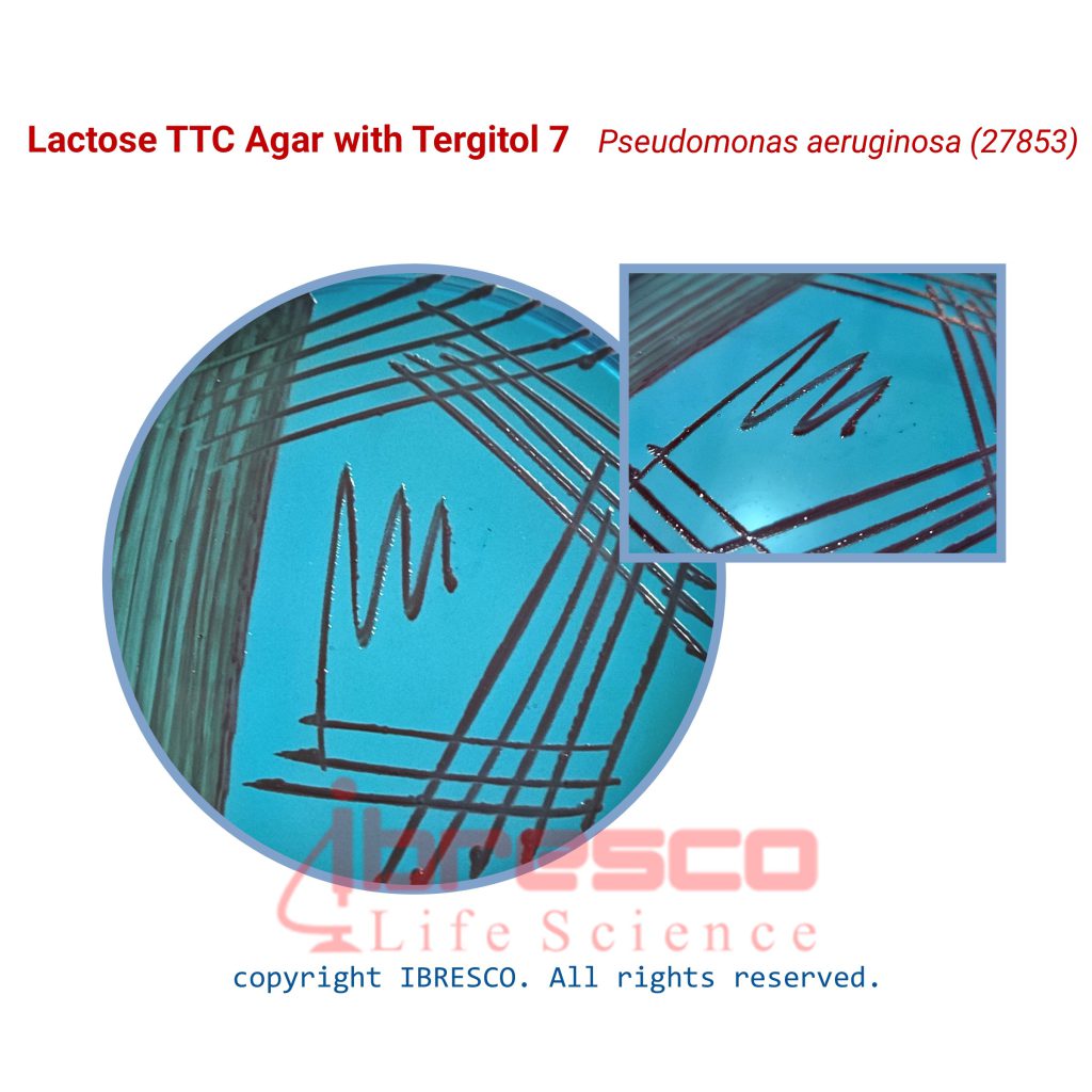 Lactose TTC Agar with Tergitol-7 | ibresco