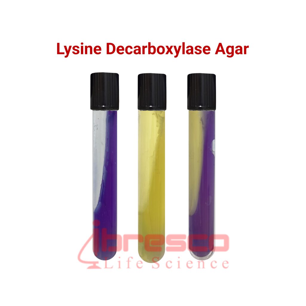 Lysine Decarboxylase Agar | لایزین دکربوکسیلاز آگار | ibresco