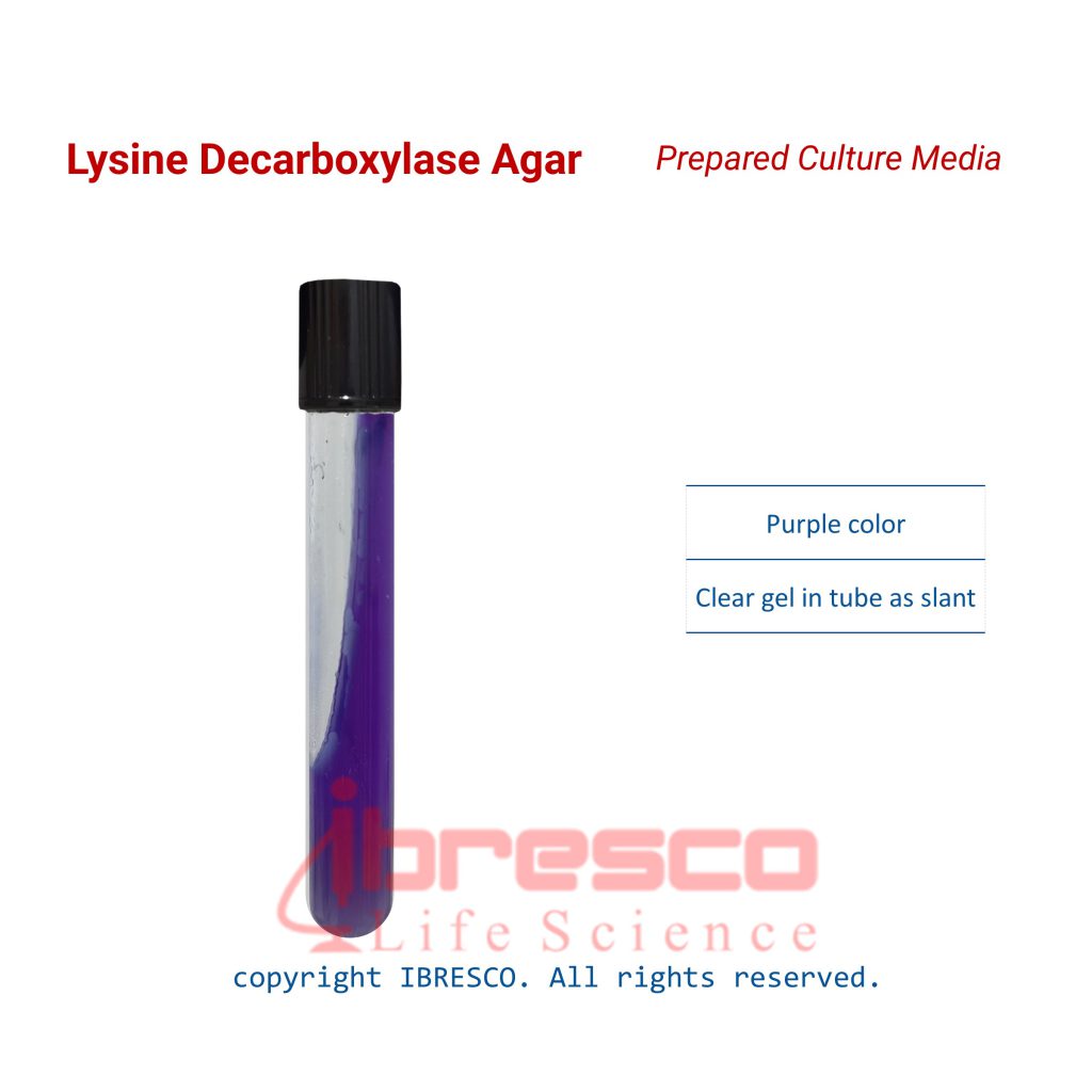 Lysine Decarboxylase Agar | لایزین دکربوکسیلاز آگار | ibresco