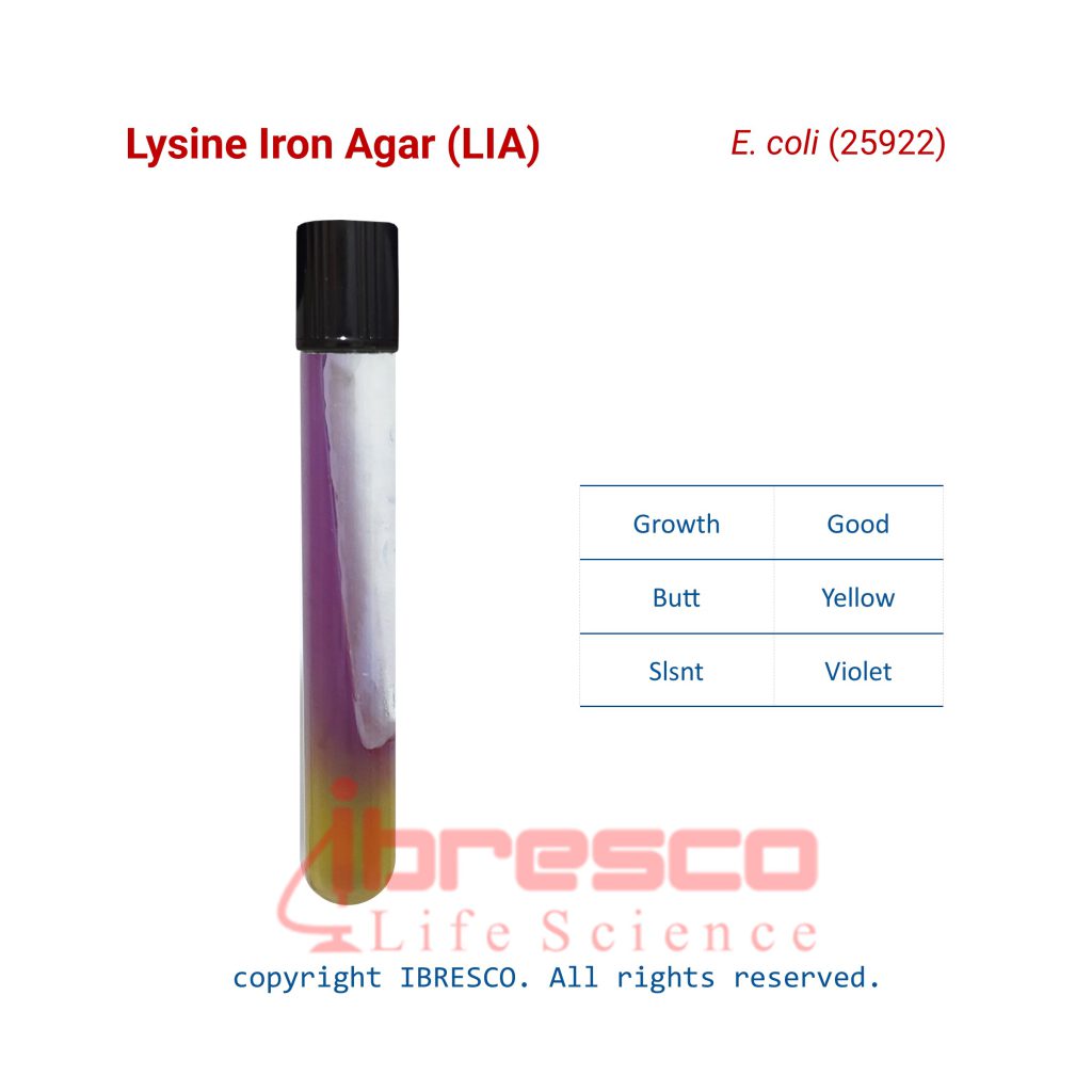 Lysine Iron Agar, LIA | ibresco