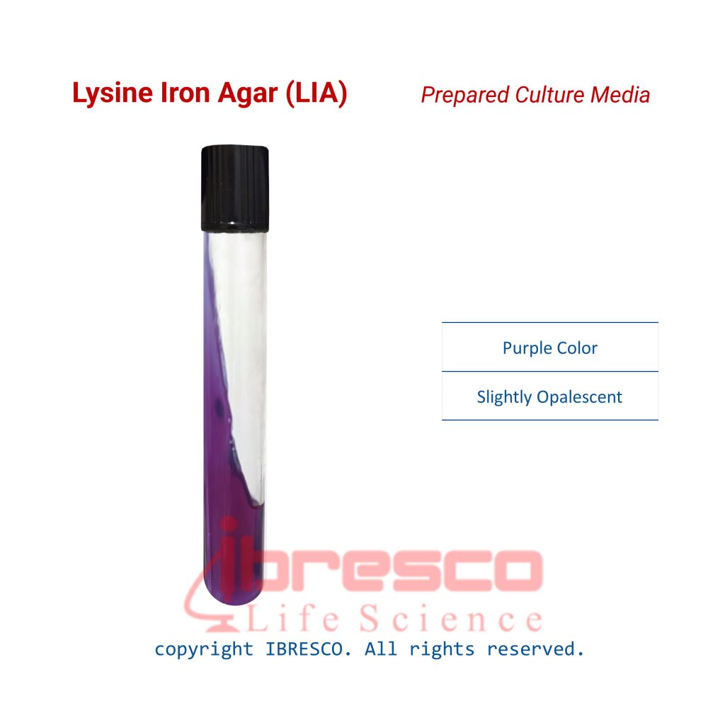 Lysine Iron Agar, LIA | ibresco
