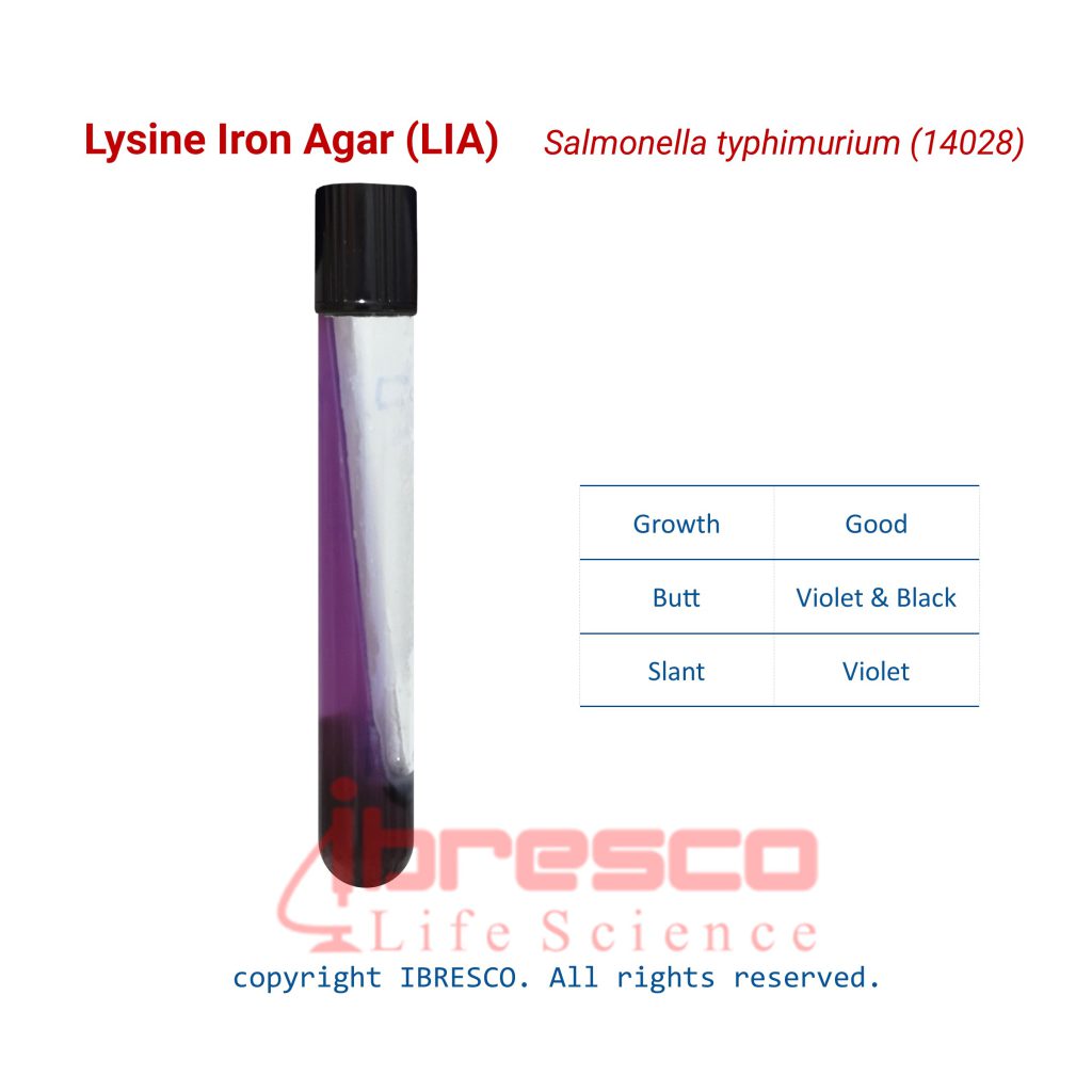 Lysine Iron Agar, LIA | ibresco