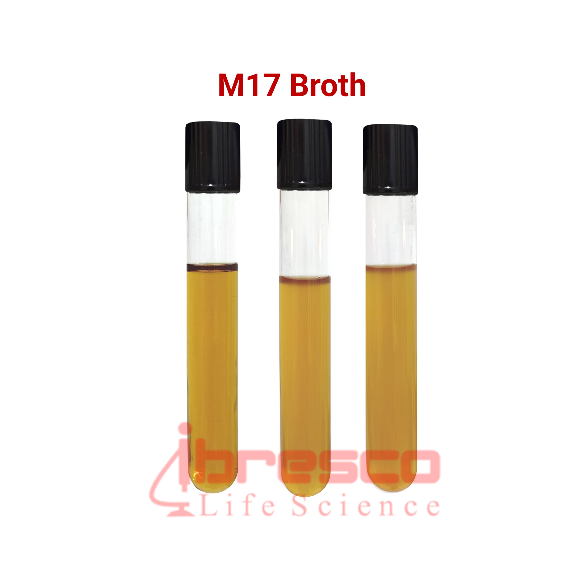 M17 Broth | محیط M17 براث | ایبرسکو