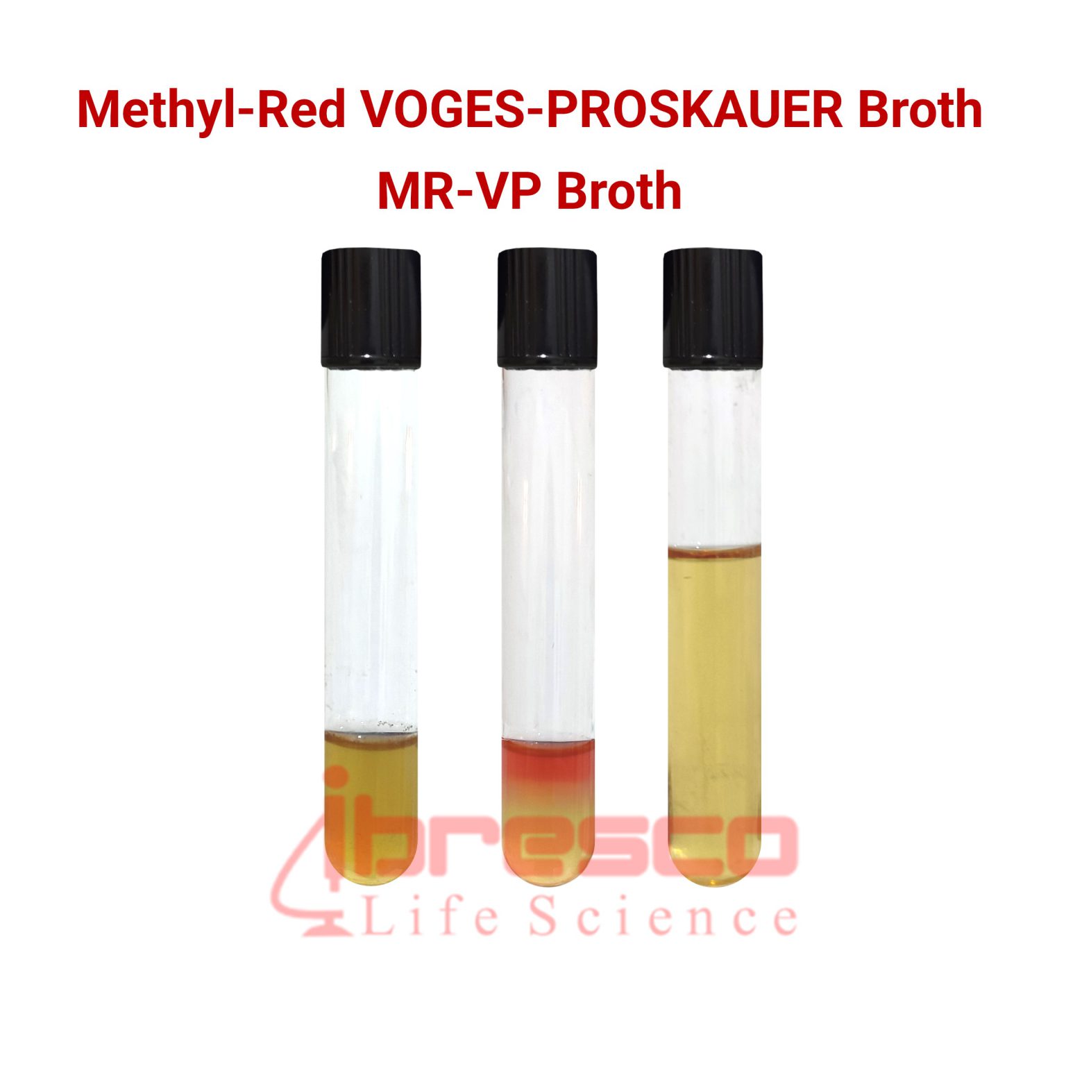 Methyl-red VOGES-PROSKAUER broth, MR-VP | متیل رد-وگس پرسکوئر، ام آر وی ...