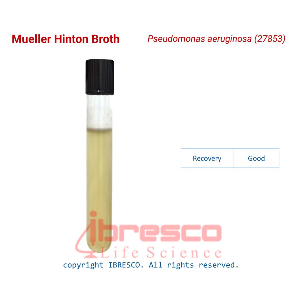 Mueller Hinton Broth | مولر هینتون براث | ibresco