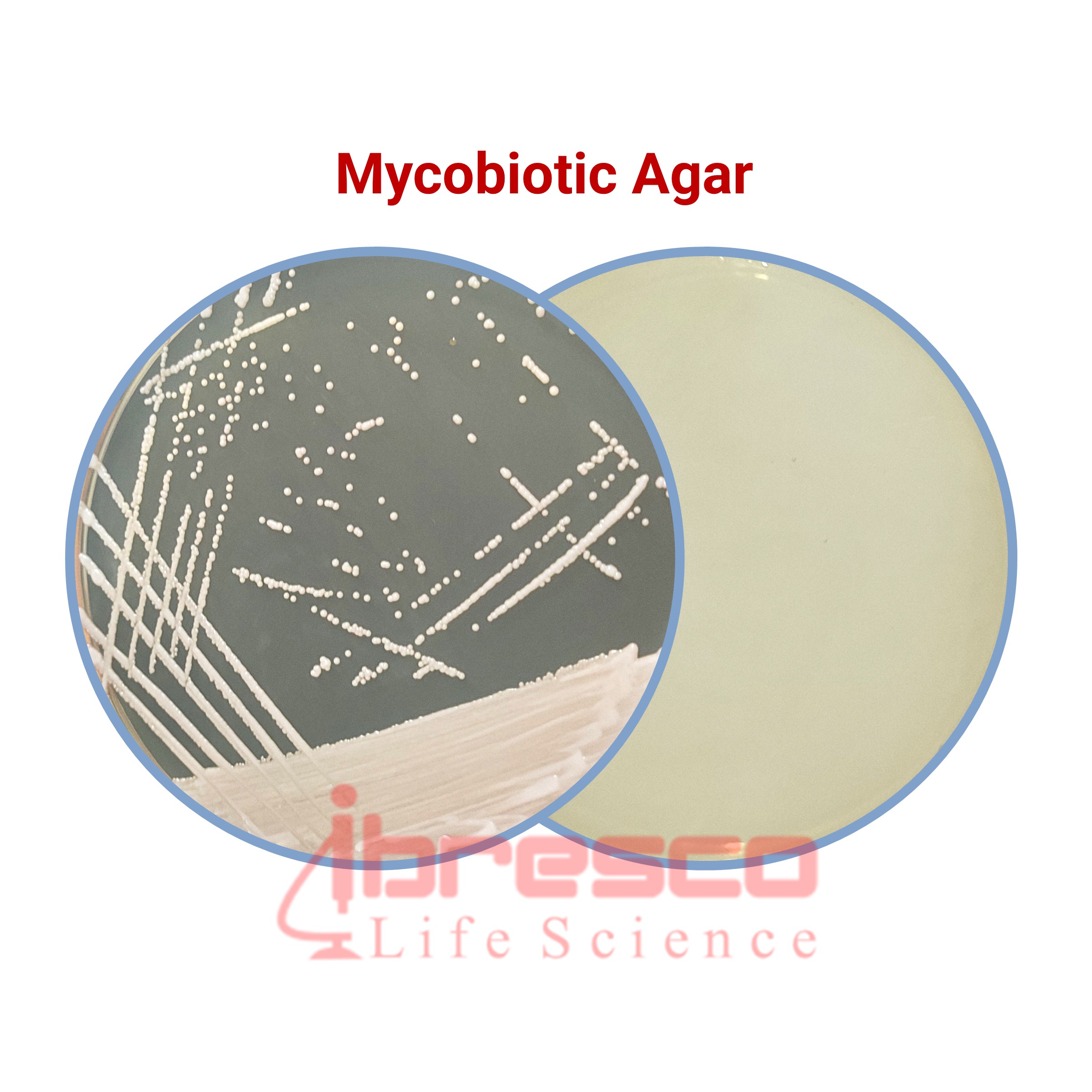 Mycobiotic Agar, Fungal Selective Agar | ibresco