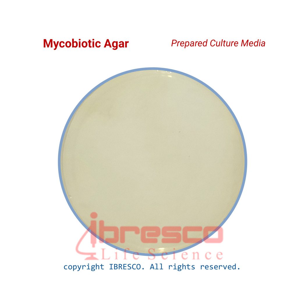 Mycobiotic Agar, Fungal Selective Agar | مایکوبیوتیک آگار | ایبرسکو