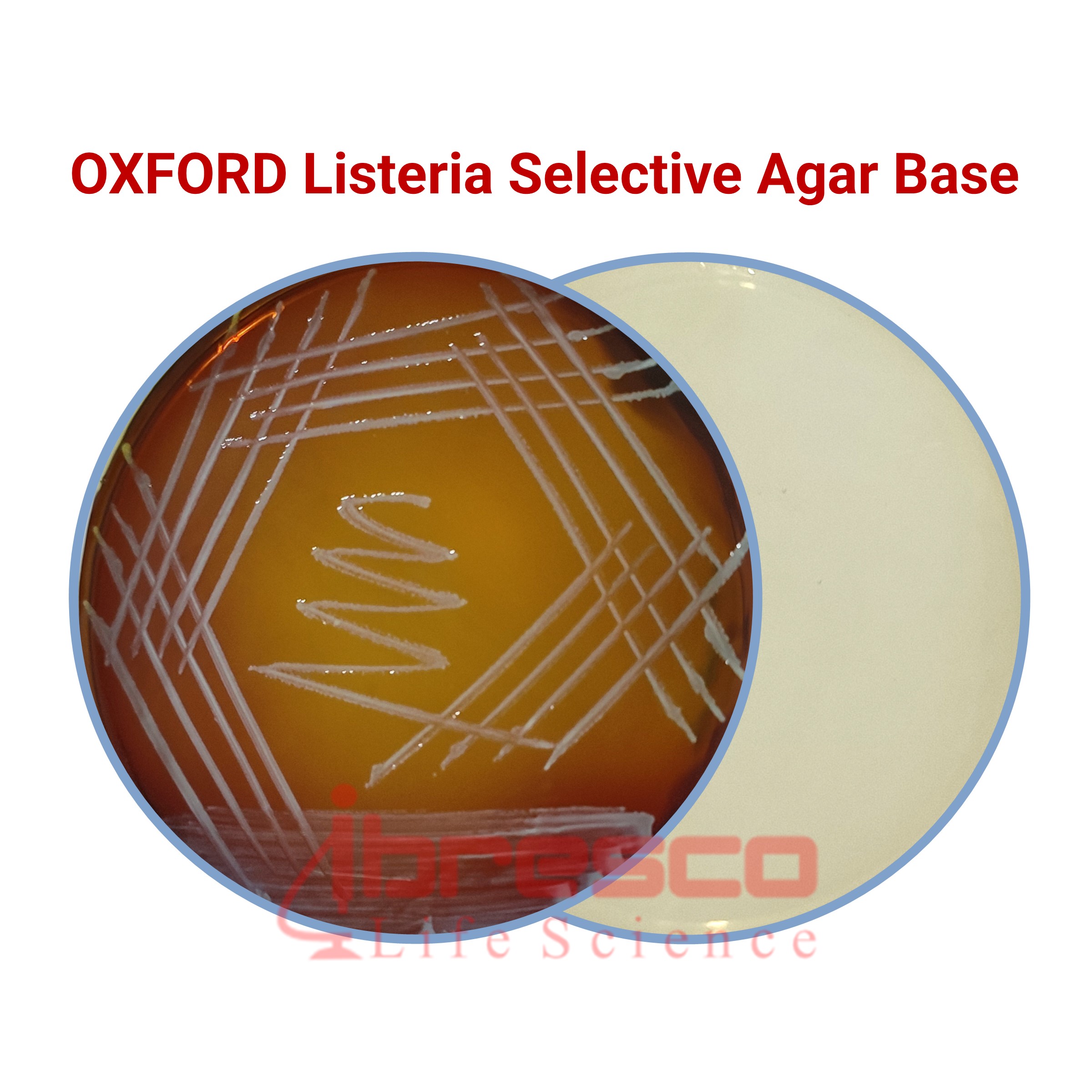 Oxford Agar Oxford Listeria Selective Supplement Microbiology