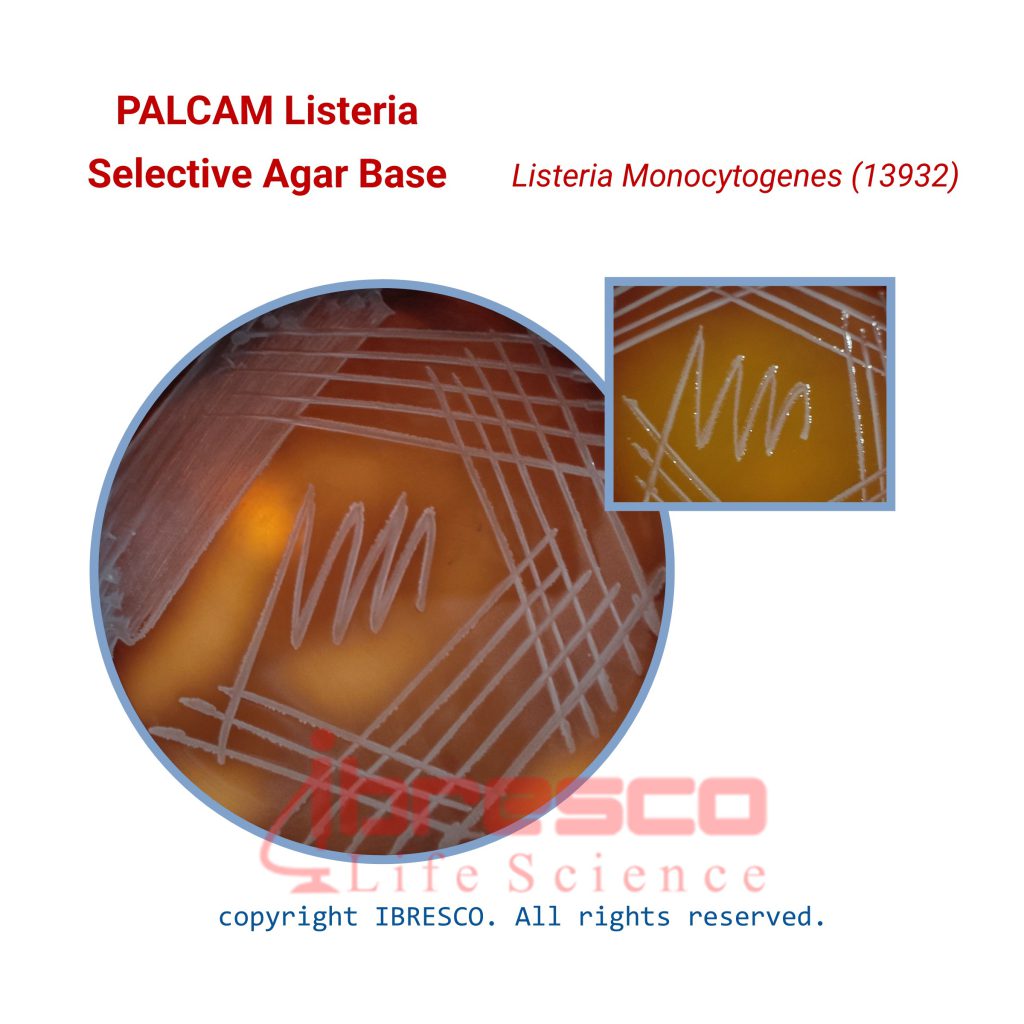 PALCAM Agar Base | ibresco