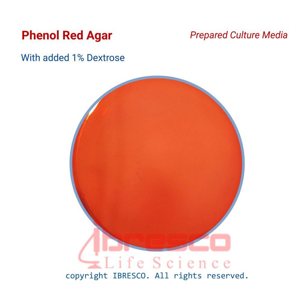 Phenol Red Agar Base | ایبرسکو