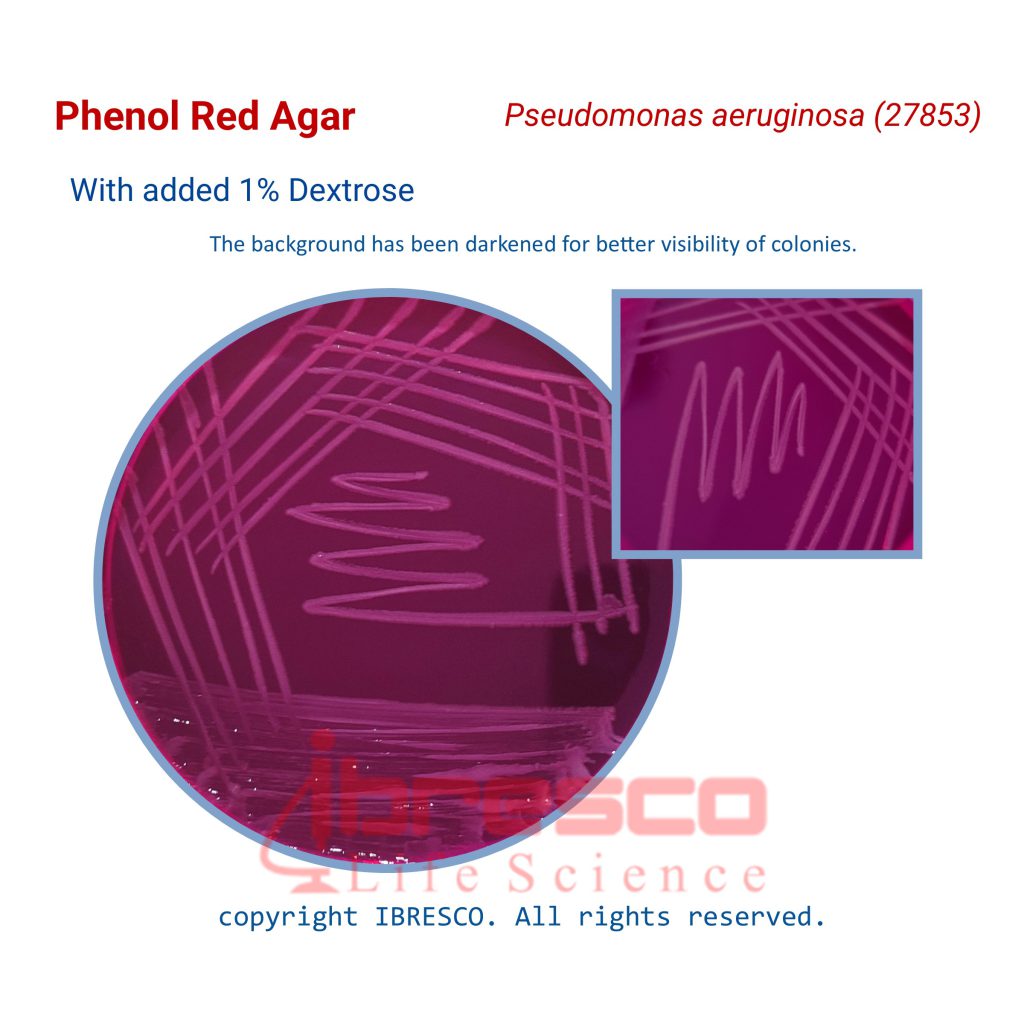 Phenol Red Agar Base | ایبرسکو