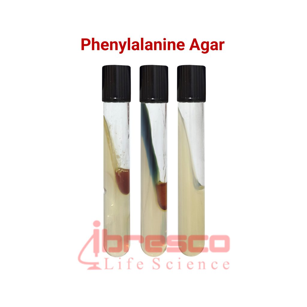 Phenylalanine Agar | فنیل آلانین آگار | ایبرسکو