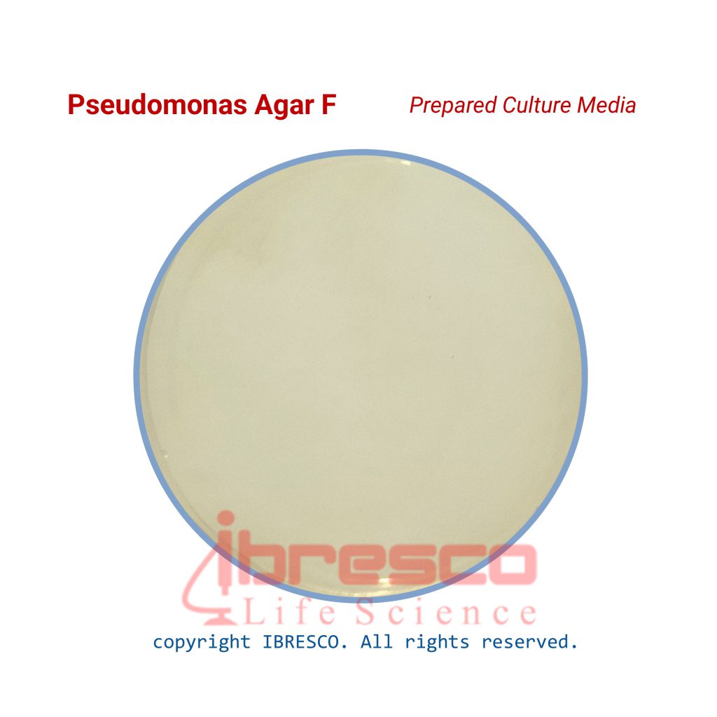 Pseudomonas Agar F | ibresco