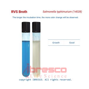 Rappaport Vassiliadis Broth, RVS | ibresco