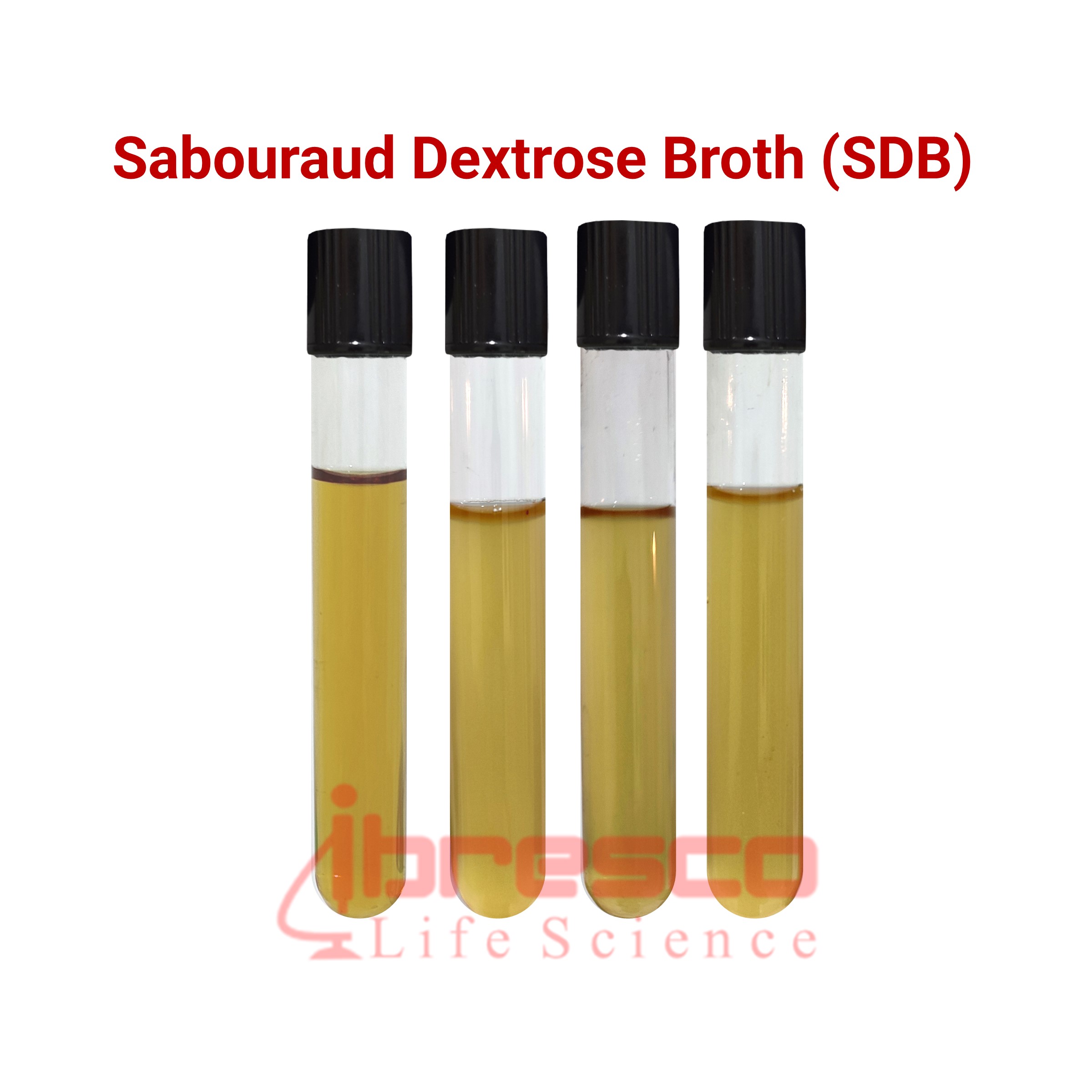 Sabouraud Dextrose Broth, SDB | سابرو دکستروز براث | ibresco