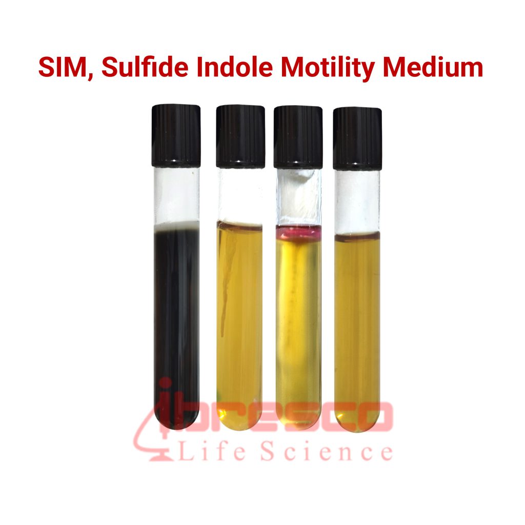 Sulfide Indole Motility Medium, SIM | ibresco