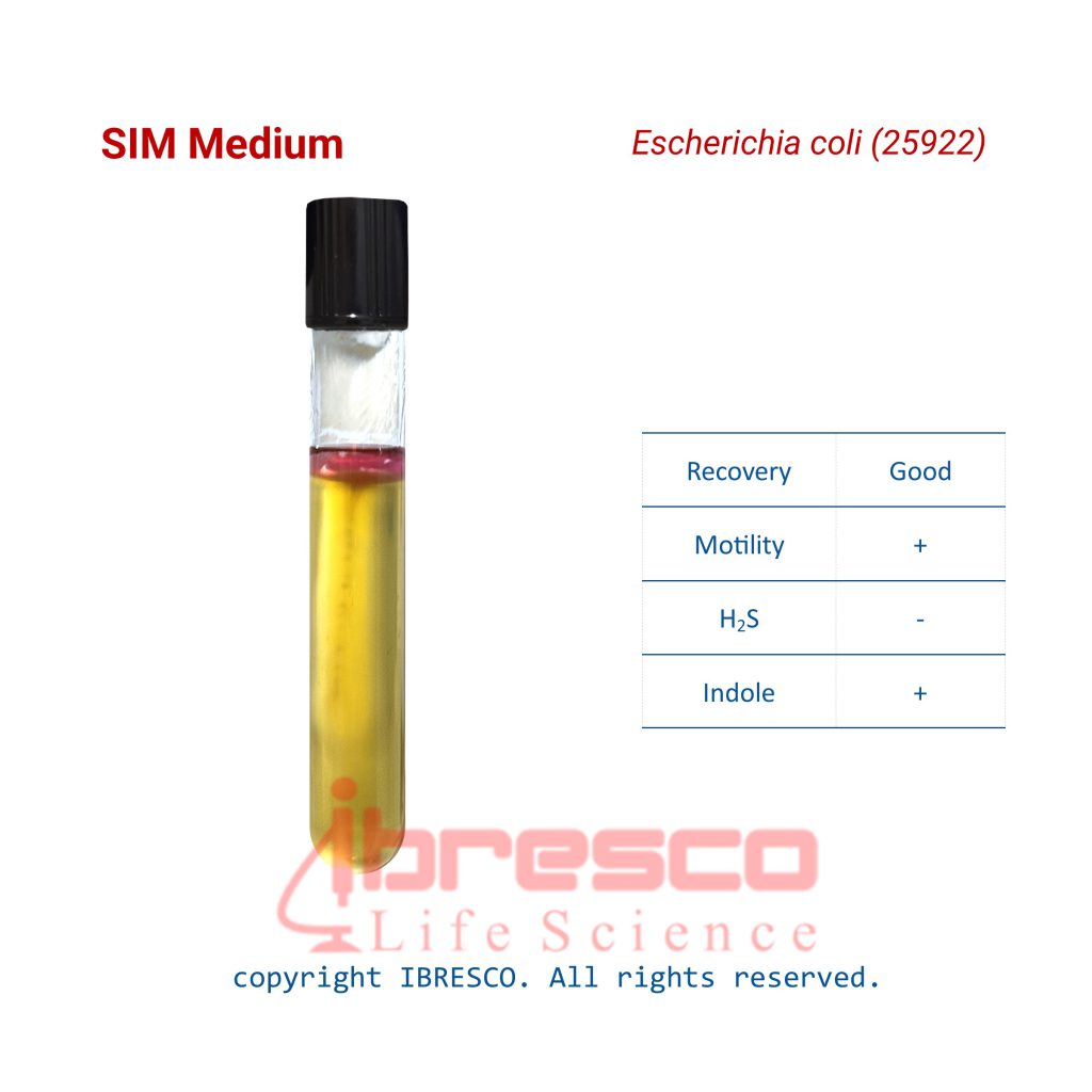 Sulfide Indole Motility Medium, SIM | ibresco