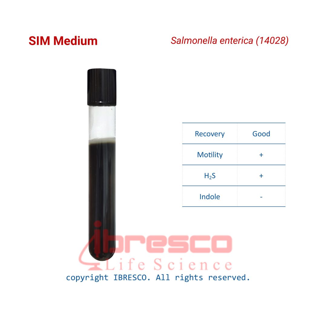 Sulfide Indole Motility Medium, SIM | ibresco