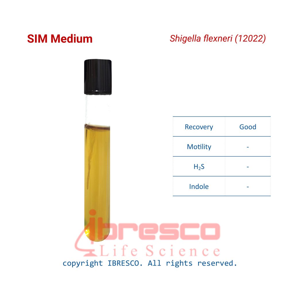 Sulfide Indole Motility Medium, SIM | ibresco