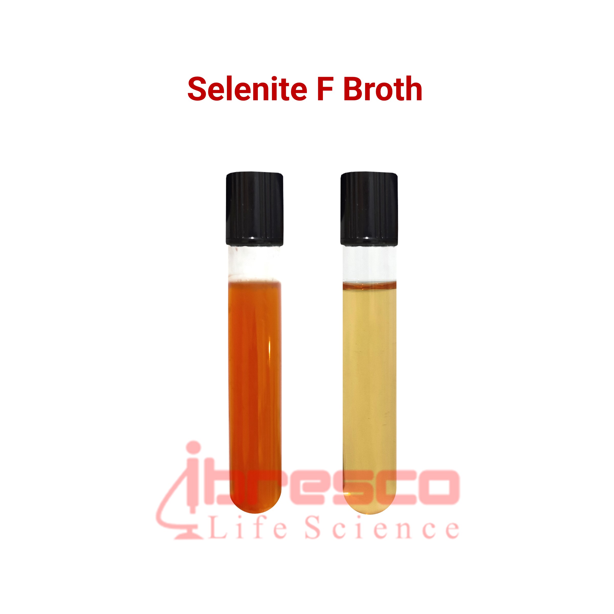 Selenite Broth, Selenite F Broth | ibresco