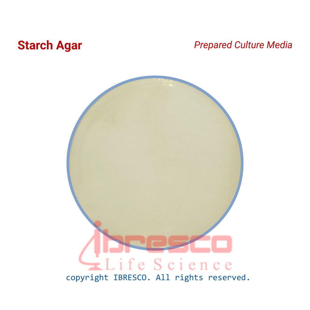 Starch Agar | استارچ آگار | ایبرسکو