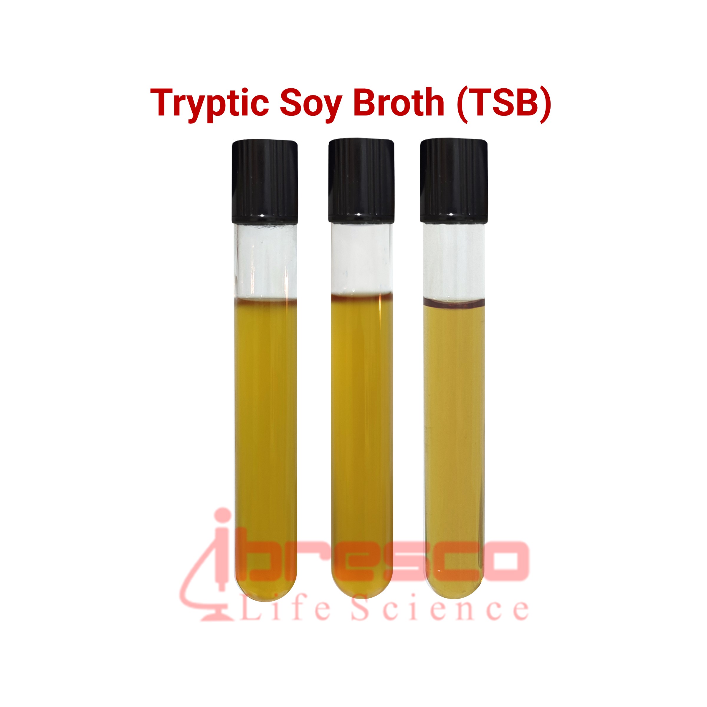 Tryptic Soy Broth, TSB | تریپتیک سوی براث، تی اس بی | ایبرسکو
