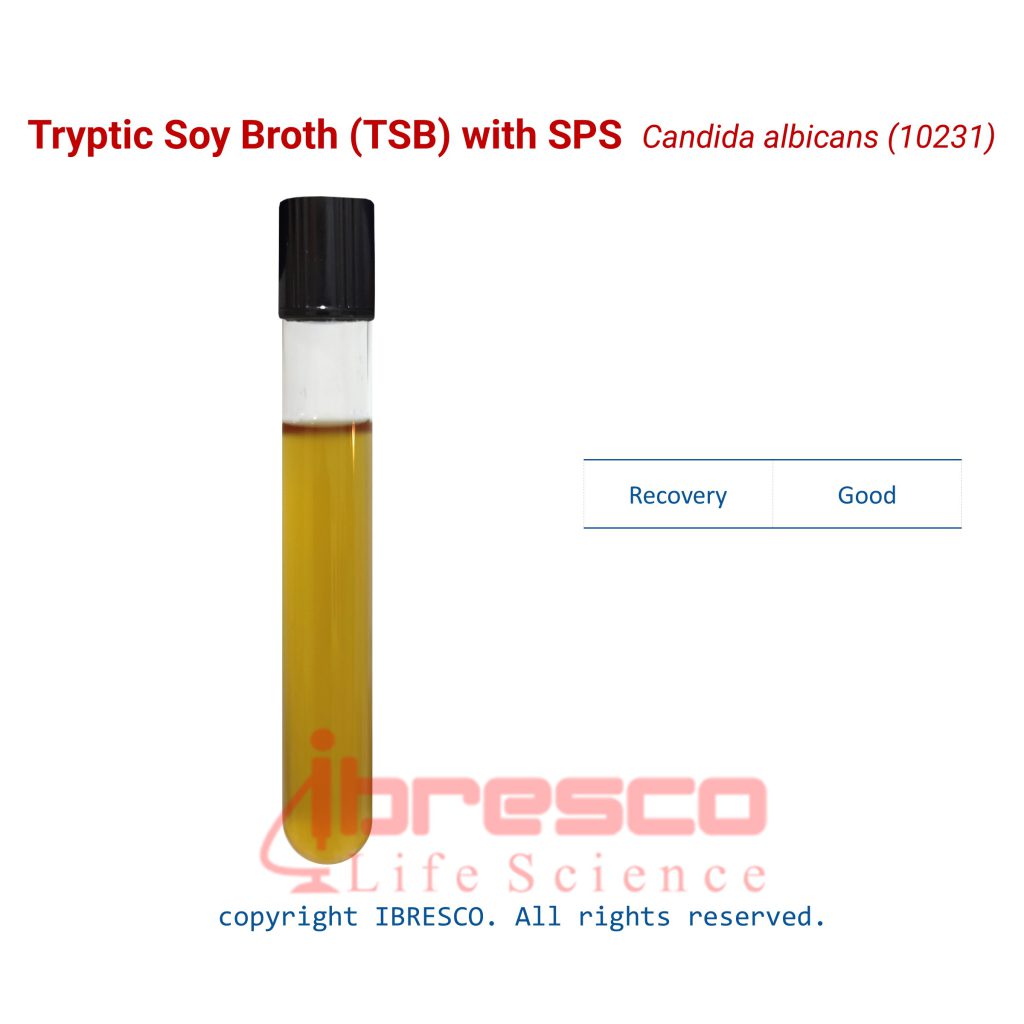 Tryptic Soy Broth TSB with SPS | تریپتیک سوی براث با اس پی اس | ایبرسکو