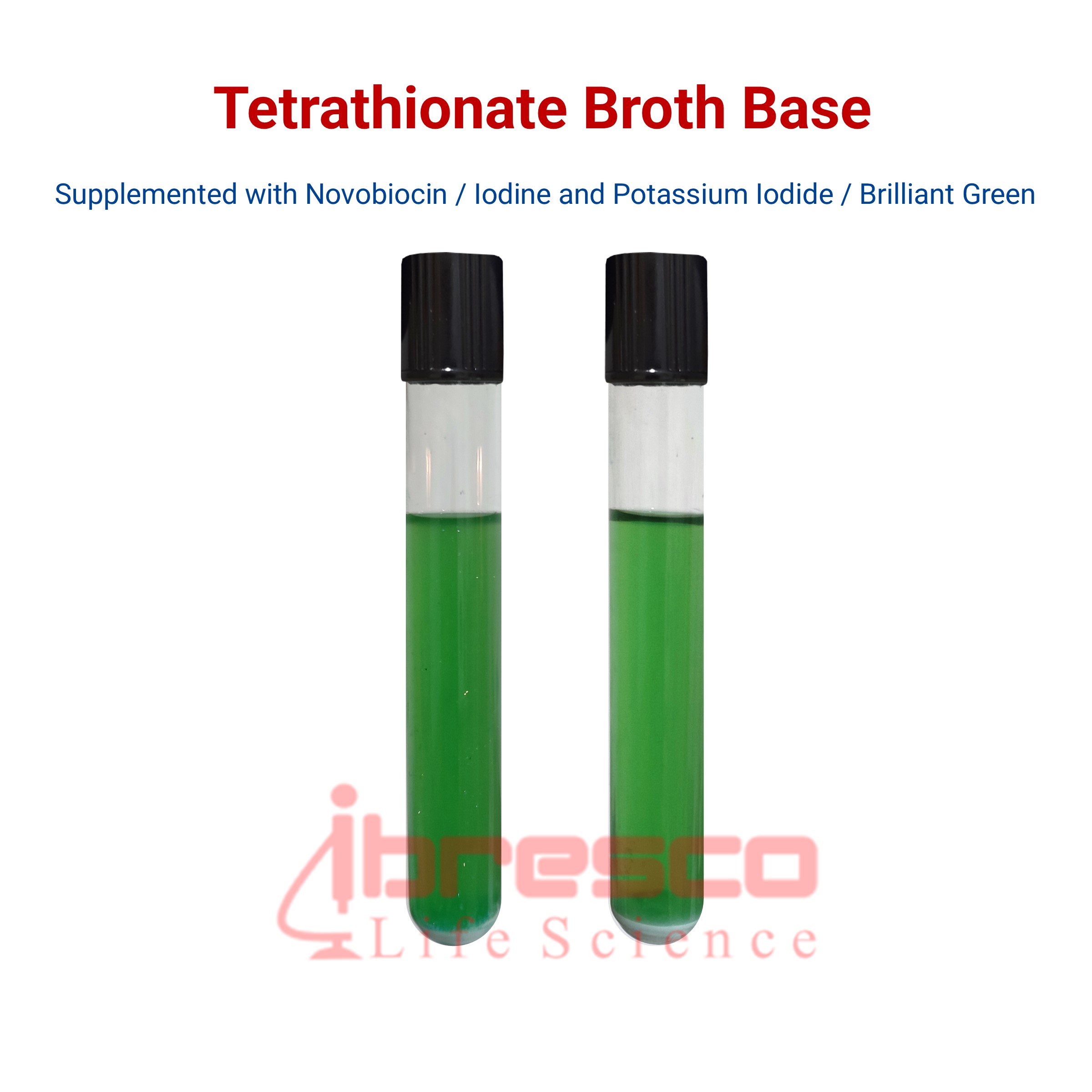 Tetrathionate Broth Base | تتراتیونات براث بیس | ایبرسکو