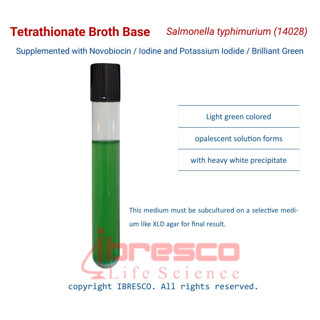 Tetrathionate Broth Base | تتراتیونات براث بیس | ایبرسکو