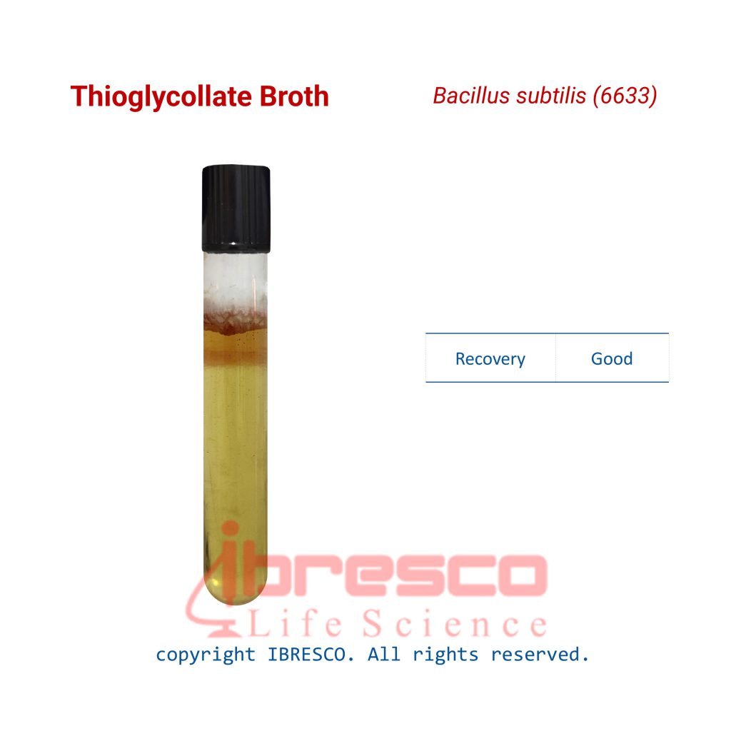 Thioglycollate Broth, TGB | تایوگلیکولات براث | ایبرسکو