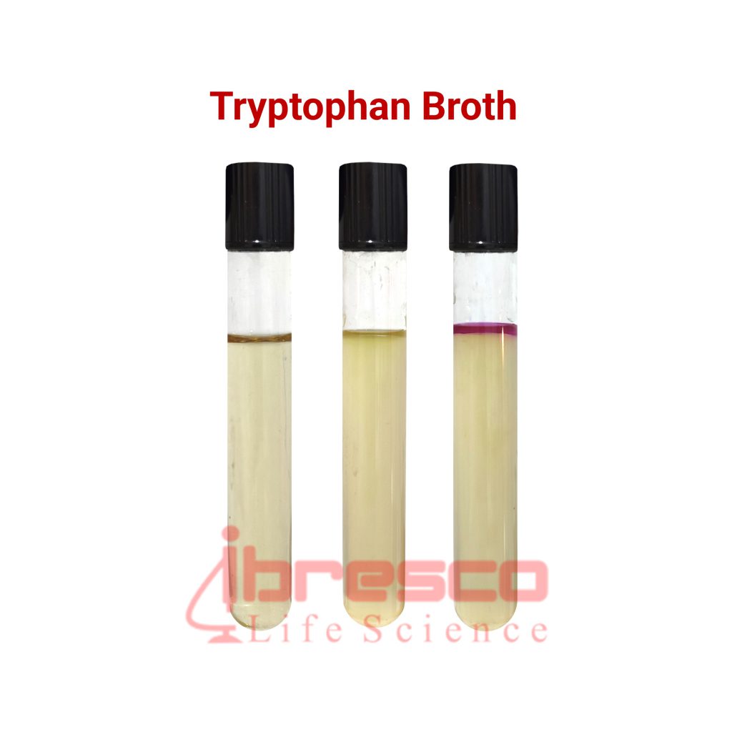 Tryptophan Broth | تریپتوفان براث | ibresco