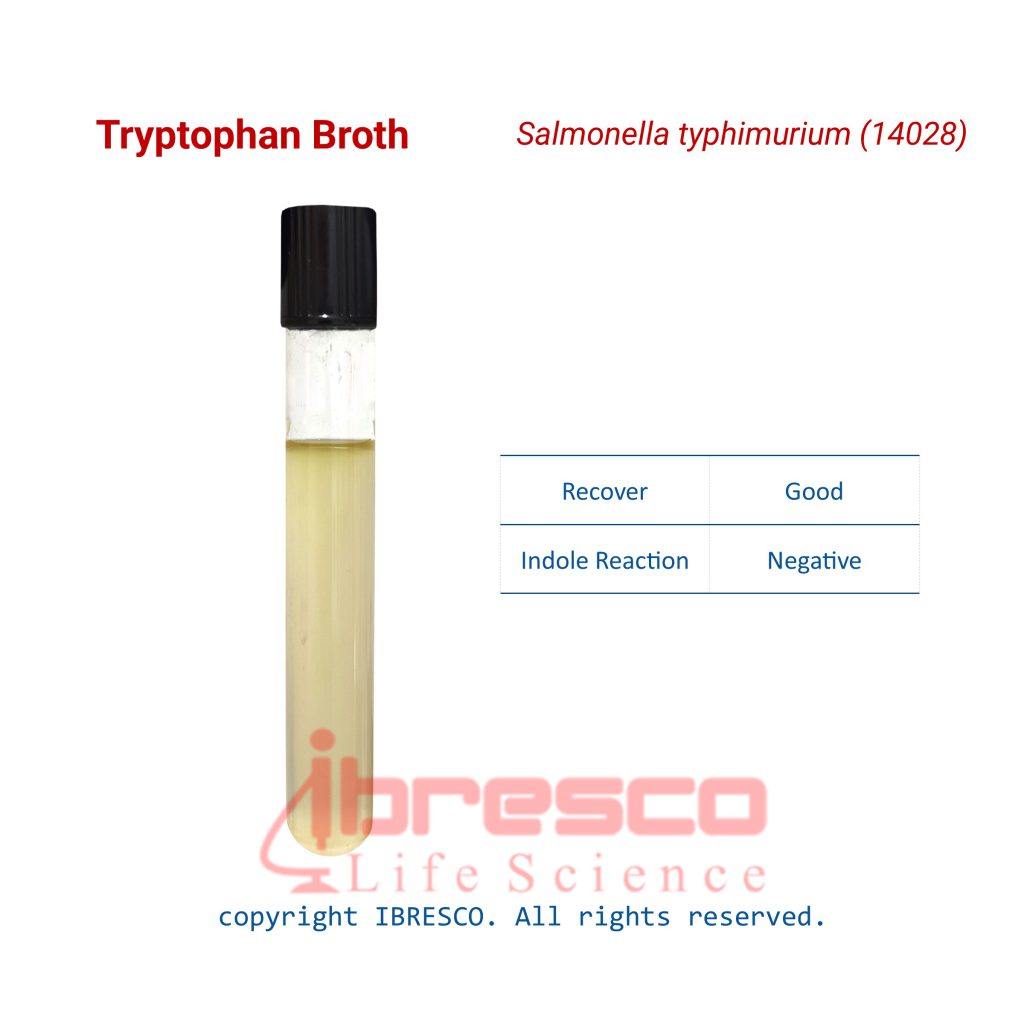 Tryptophan Broth | تریپتوفان براث | ibresco