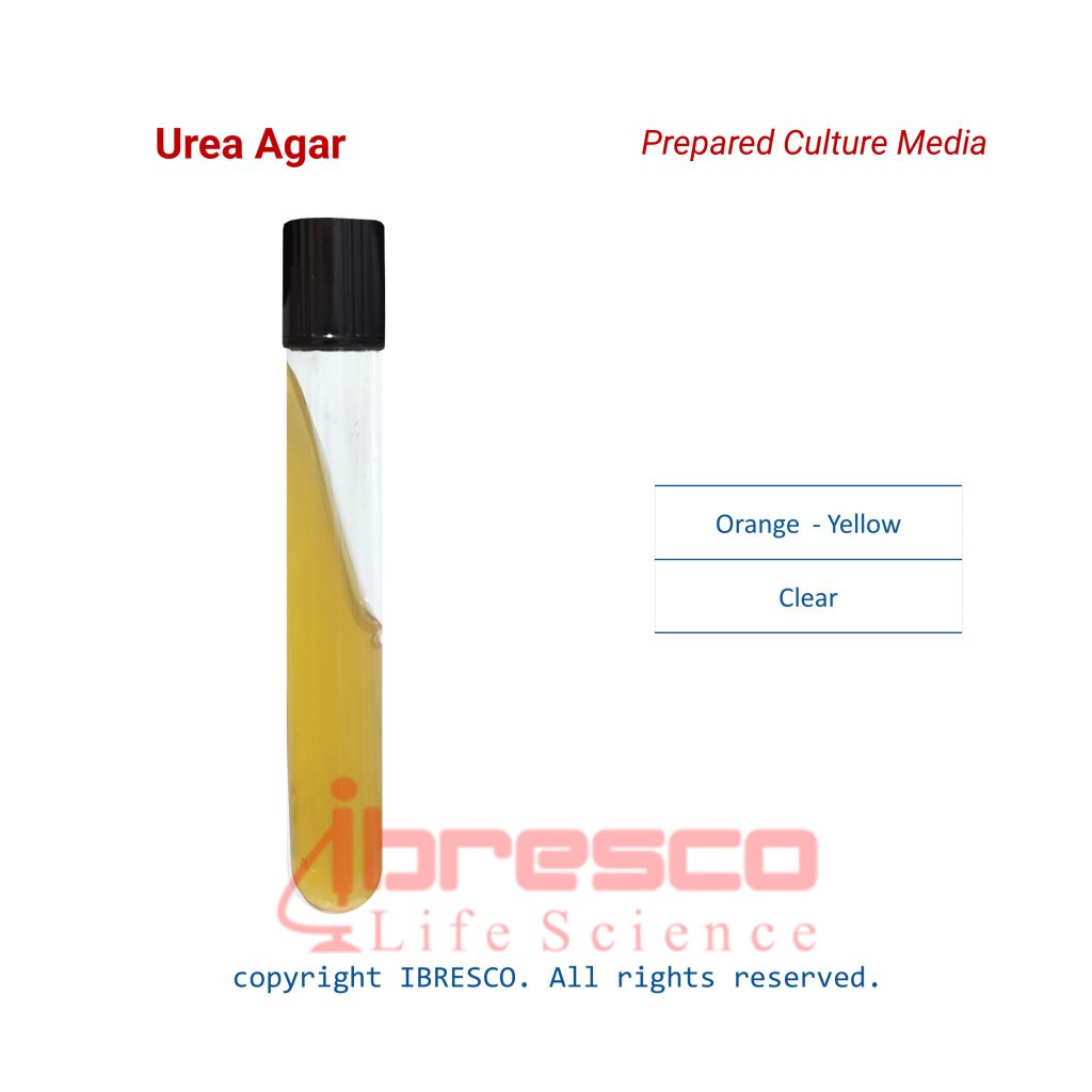Urea Agar Base | اوره آگار بیس | ایبرسکو