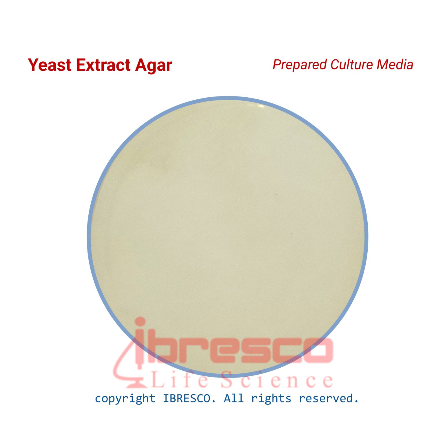 Yeast Extract Agar (With Glucose) | ییست اکسترکت آگار (دارای گلوکز ...