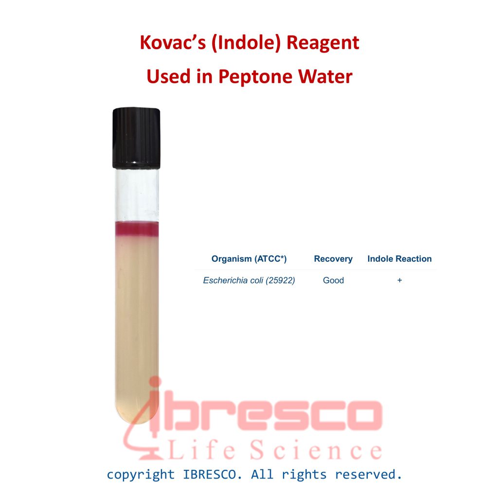 Kovac’s (Indole) Reagent | معرف کواکس (ایندول) | ibresco